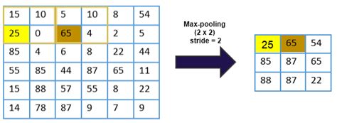 17 Illustration Of The Max Pooling Operation Download Scientific Diagram