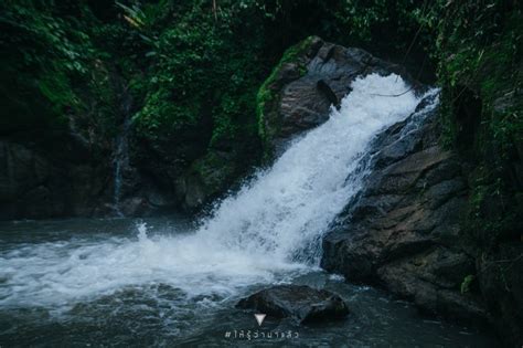 Readme Me ยืนงงในดงป่า Unseen เมืองรองนครนายก เส้นทางน้ำตกเขื่อนขุนด่านปราการชล