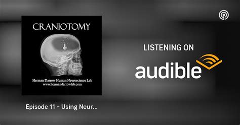 Episode 11 Using Neural Modeling And Simulation To Understand Human
