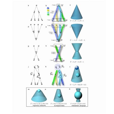 Defining Network Hierarchy The Graphical Representation Of A Tree Like
