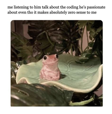 me r programmerhumor