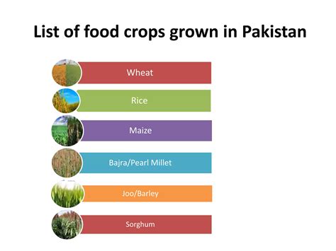 Important Food Crops Of Pakistan Pptx