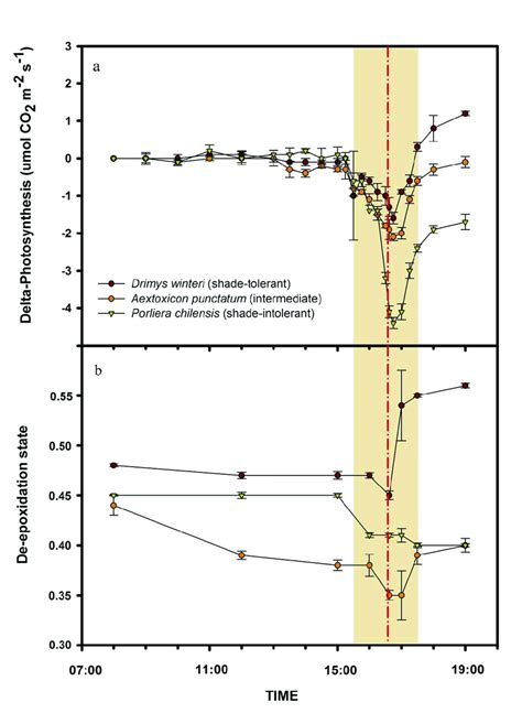 Daily Photosynthesis Differential Photosynthesis During An Eclipse Download Scientific Diagram