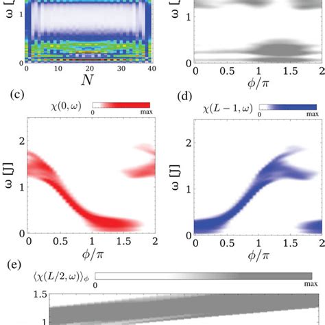 A Dynamical Structure Factor In The Different Sites Of The Chain For Download Scientific