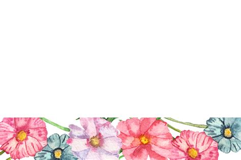 수채화 배너 섬세 한 핑크 라일락 파랑 꽃 녹색 흰색 배경에 고립 떨어지는 꽃잎과 바늘 잎 줄기에 결혼식에 대한 스톡 벡터 아트 및 기타 이미지 Istock