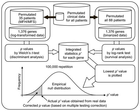 Clinical Data For All Patients Were Permutated Permutated Data For 35