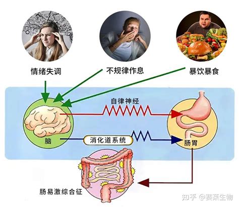 频繁腹痛、便秘、拉肚子？自测一下是否为肠易激综合征。 知乎