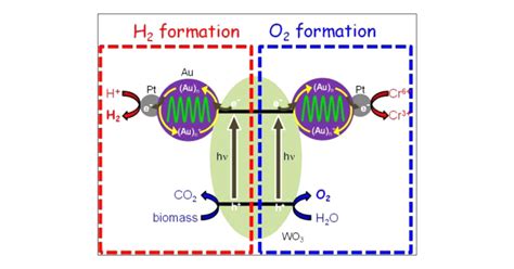 Visible Light Induced Hydrogen And Oxygen Formation Over Pt Au Wo3 Photocatalyst Utilizing Two