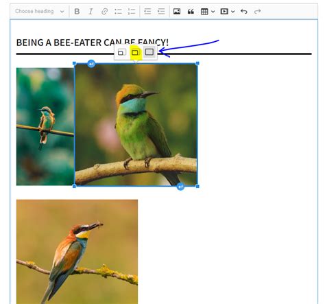ckeditor5 how do i access to ckeditor image resizer web element in menu pop up stack overflow