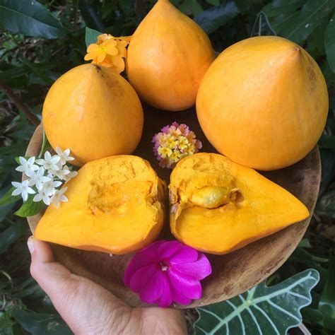 Eggfruit Canistel Buy Eggfruit Online From Miami Fruit