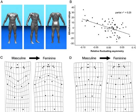 Stimuli Symmetry Attractiveness Plot And Cartesian Transformations Of Download Scientific