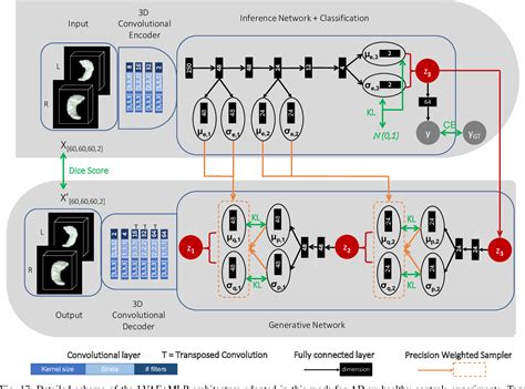 Figure 1 From Explainable Anatomical Shape Analysis Through Deep Hierarchical Generative Models