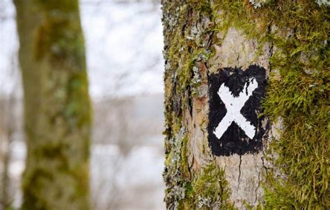 Migrating From Mstest To Xunit 2 Somewhat Abstract