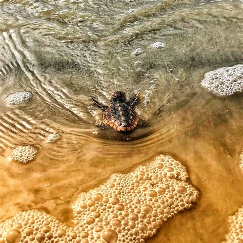 Catrin Einhorn The New York Times