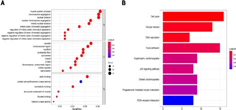 Bioinformatics Enrichment Analysis Including Go Analysis And Kegg Download Scientific Diagram