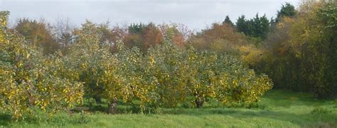 Colours Java Pdf Blog