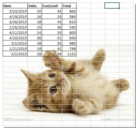 Insert Background Image Behind Cells In Excel A Full Guide