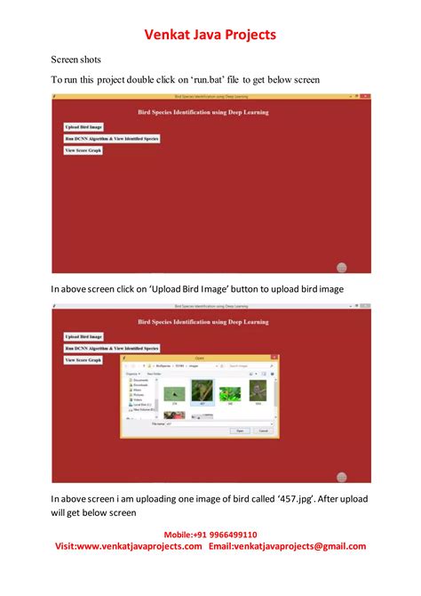 Bird Species Identification Using Deep Learning Docx