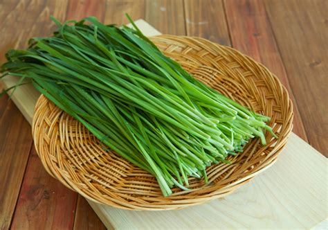 조연인줄 알았던 부추에 이런 놀라운 효능이… 네이트 뉴스