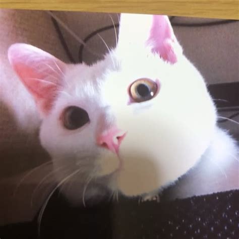 Junko Harads Junko Harads • Threads Say More