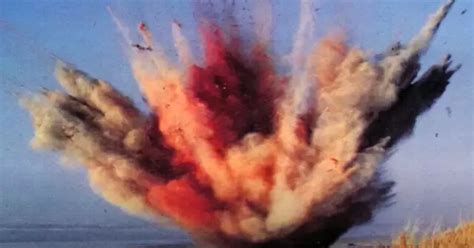 Exploding Whale Incident Is Still One Of The Craziest Spectacles Ever Recorded