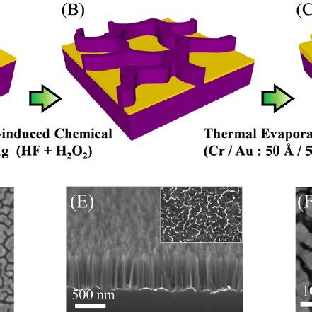 A Schematic Of The Substrate After The Initial Deposition Of The Thin Download Scientific