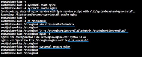 how to install matrix synapse chat on ubuntu 18 04 lts
