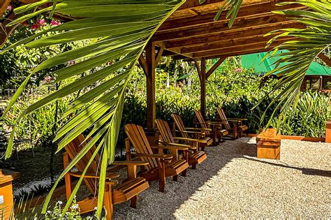 5 Day Safe And Intimate Ayahuasca Retreat In Costa Rica •