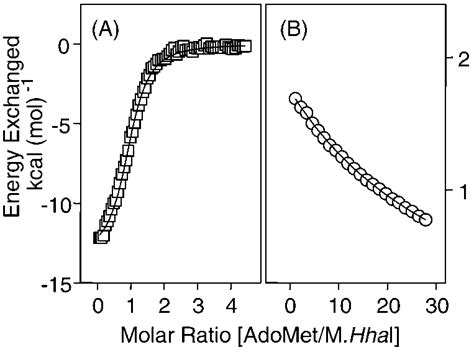 Tandem Calorimetric Titration Shown Is Tandem Itc Titration Of Adomet Download Scientific