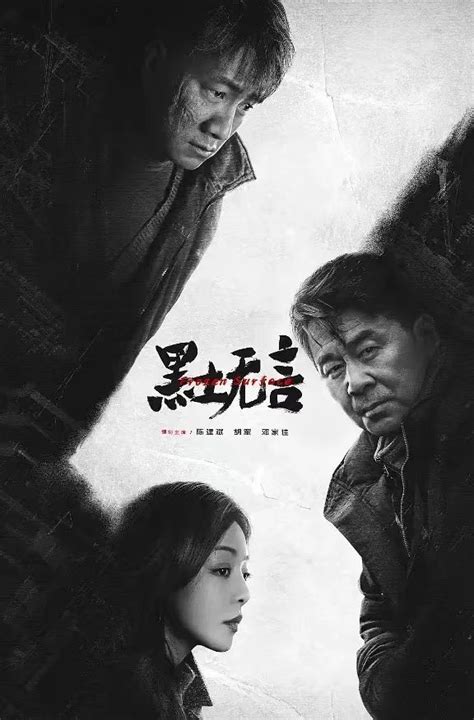 买凶杀人、毁尸沉湖《黑土无言》，在困局中寻找真相！澎湃号·政务澎湃新闻 The Paper