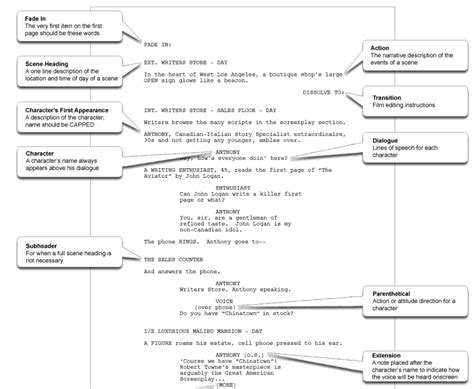How To Read A Script A Beginners Guide