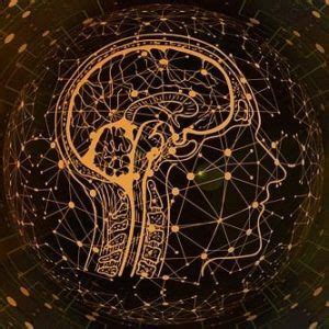 XSL Snippets Add Date With XSL 1 0 And 2 0 Autana Business Partners