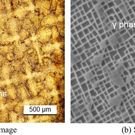 Nickel Based Super Alloy Microstructure At Bruce Green Blog