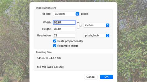 how to resize and crop a photo using preview on macos laptop mag