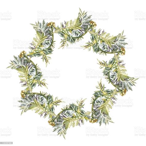 디자인을위한 수채화 원 프레임 테두리 템플릿 흰색 배경에 고립 된 노란색 꽃 탠시의 화환 건강을 위해 손으로 그린 여름 아로마 식물 공간을 복사합니다 결혼식 초대장을위한