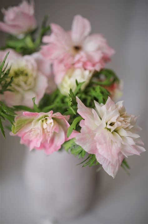 The Classic Subscription Olivias Garden