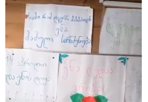 კარაპეტის საჯარო სკოლაში დედაენის დღესთან დაკავშირებით ღონისძიება გაიმართა ეტალონი