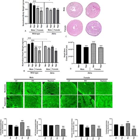 Multi Way Analysis Of Variance Anova Download Scientific Diagram