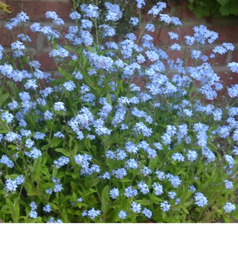 Lazy Days Of Summer Poem Hubpages