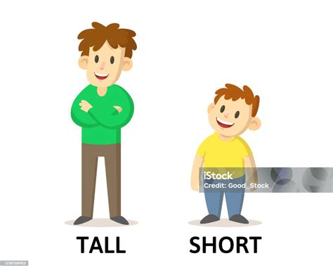 만화 캐릭터와 단어 키가 짧은 플래시 카드 반대 형용사 설명 카드 흰색 배경에 격리된 플랫 벡터 그림입니다 키 큰에 대한 스톡 벡터 아트 및 기타 이미지 Istock