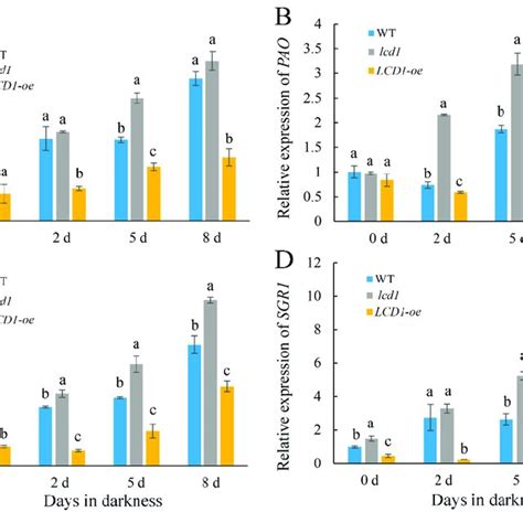 Correlation Analysis Among The Parameters Of Chlorophyll Chlorophyll
