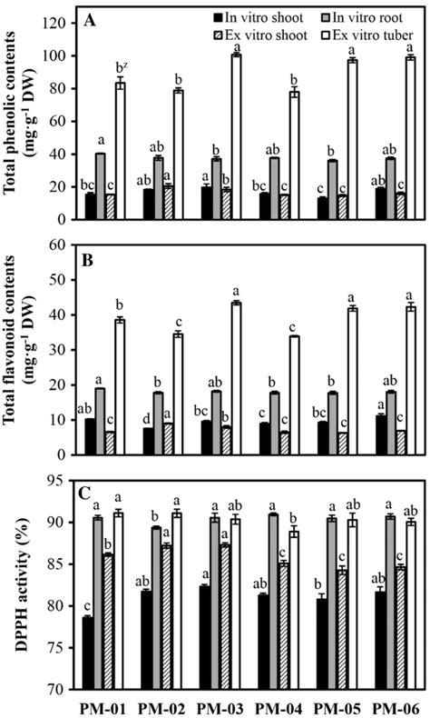 Comparison Of Bioactive Compound Production And Antioxidant Activity In
