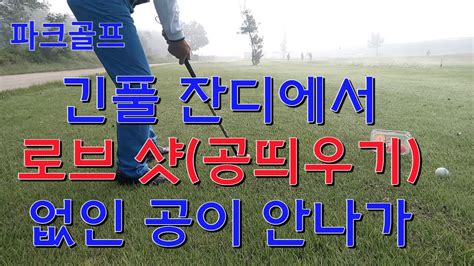 파크골프park Golf 페어웨이 잔디에서 로브 샷 하는 요령 공띄우기 방법パークゴルフ Youtube