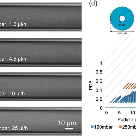 Viscoelastic Particle Focusing Experiment For Human Metaphase Human Download Scientific Diagram