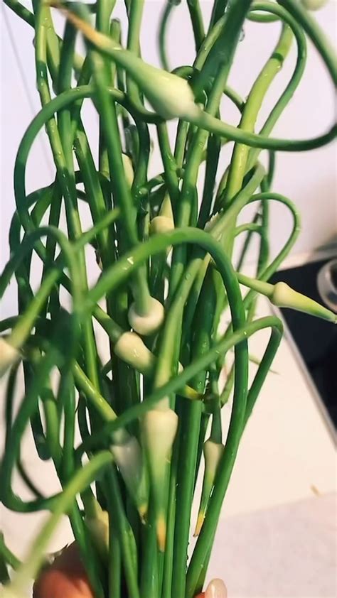 •lily• Наказана 🙈 ⠀ Слово наказание происходит от глагола казать то есть наставлять и