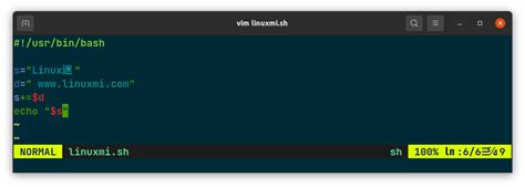 如何使用 Bash 连接字符串 Linux迷