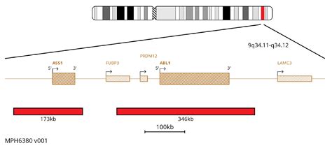 Myprobes Bcrabl Translocation 10x Concentrated