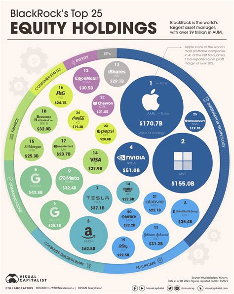 Visualizing Blackrocks Top Equity Holdings