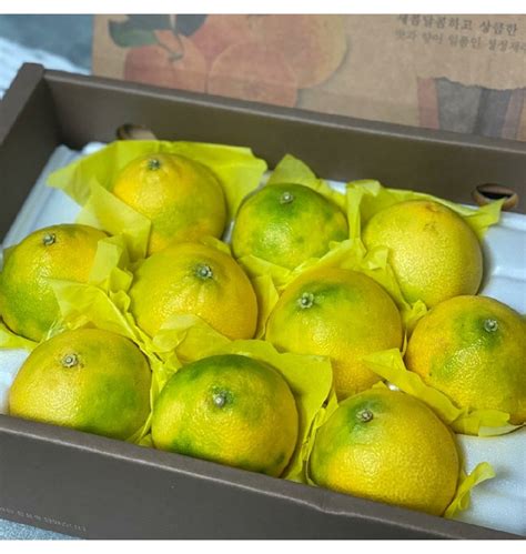 제주직송 고당도 황금향 제철 과일 중과 7 20과 3kg 가정용 티몬