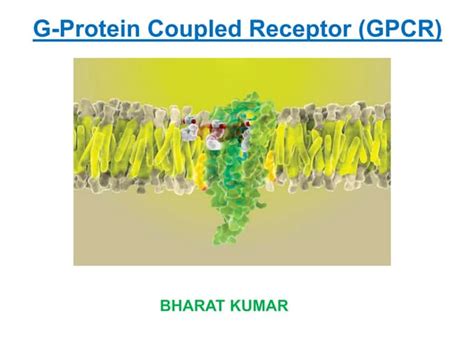 G Protein Coupled Receptors Pptx